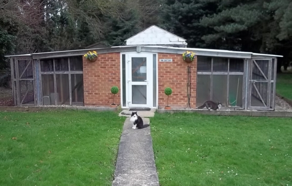 Greendale Farm Kennels, Cattery and Hydrotherapy Pool - High Wycombe