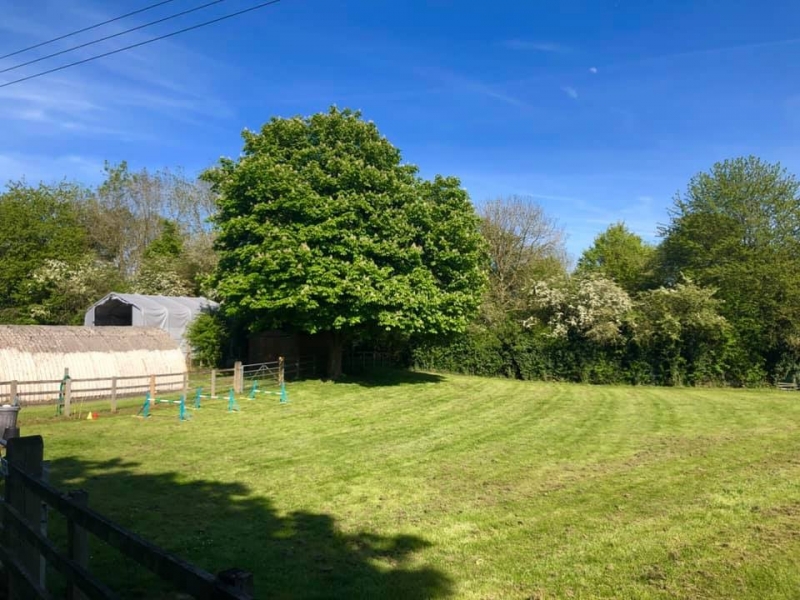 Prices - Greendale Farm Kennels, Cattery and Hydrotherapy Pool