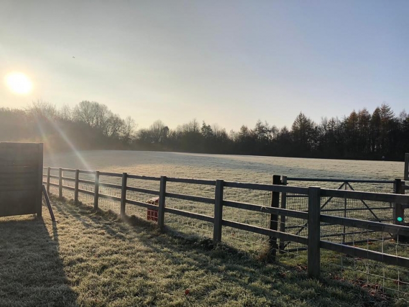 Contact us - Greendale Farm Kennels, Cattery and Hydrotherapy Pool