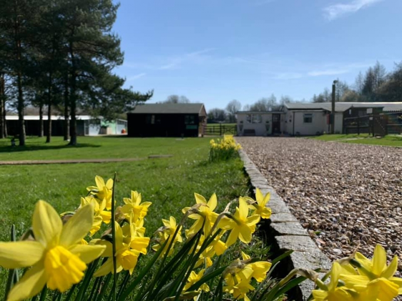 Contact us - Greendale Farm Kennels, Cattery and Hydrotherapy Pool