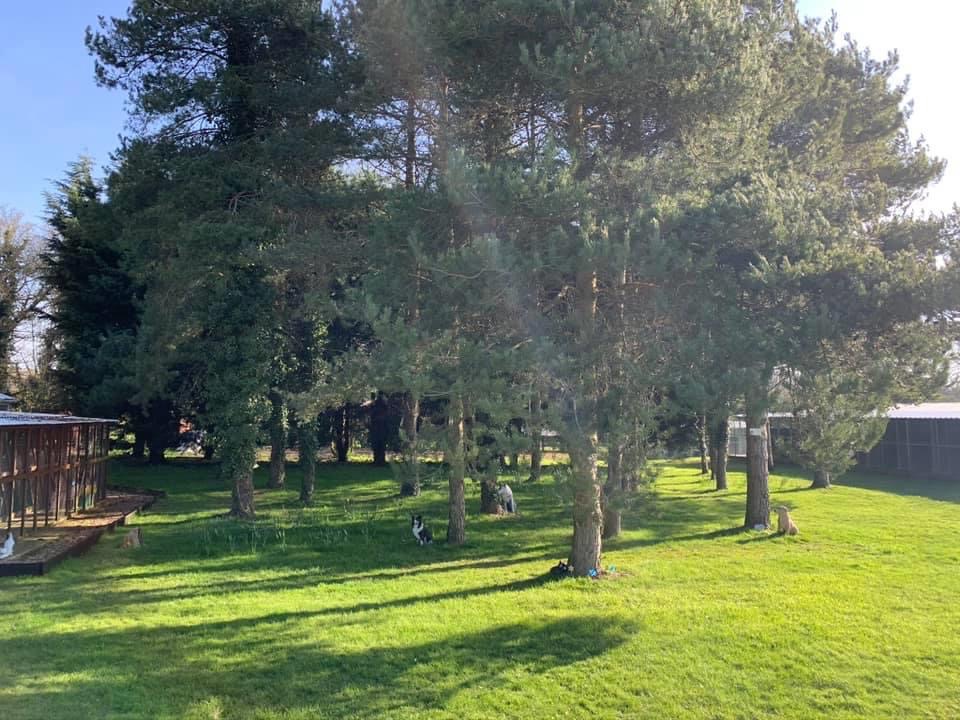 Contact us - Greendale Farm Kennels, Cattery and Hydrotherapy Pool