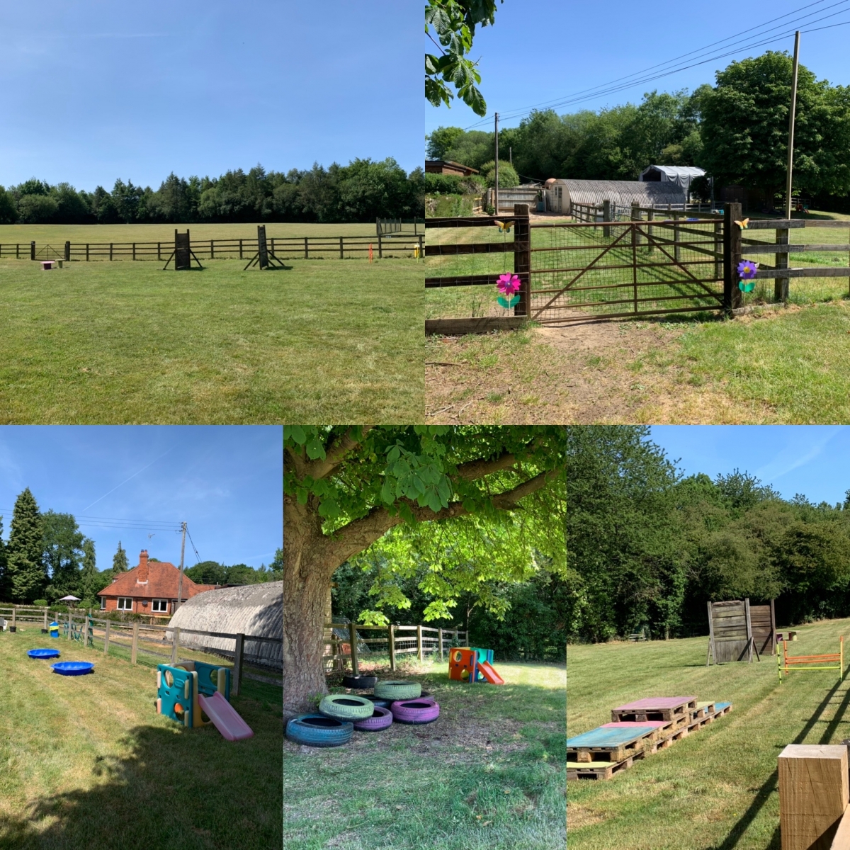Services - Greendale Farm Kennels, Cattery and Hydrotherapy Pool